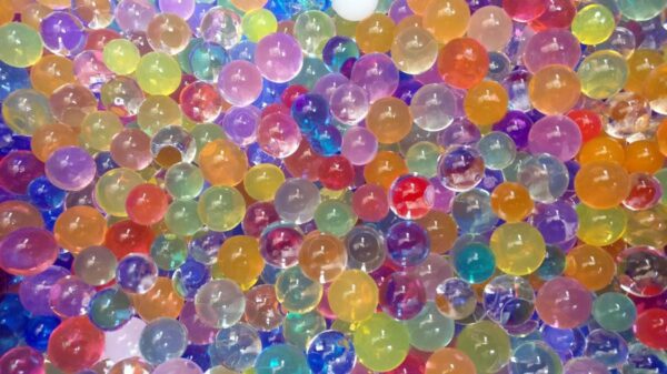 Are Orbeez Biodegradable and How to Dispose of Them? | KidsBaron
